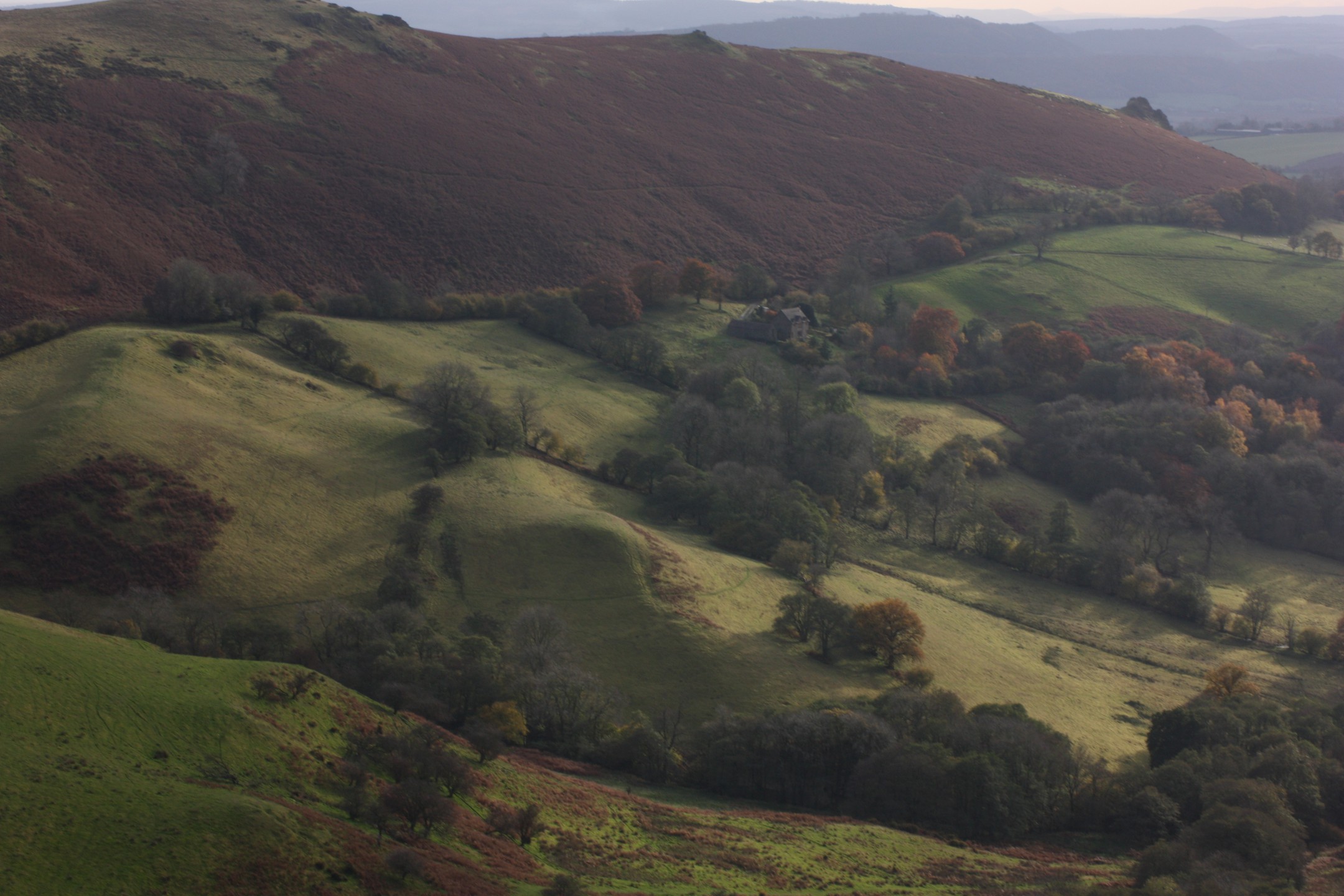 Landscape - Fergus Reid